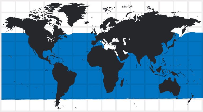 Species Identification - The Billfish Foundation