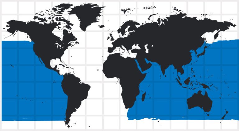 Species Identification - The Billfish Foundation
