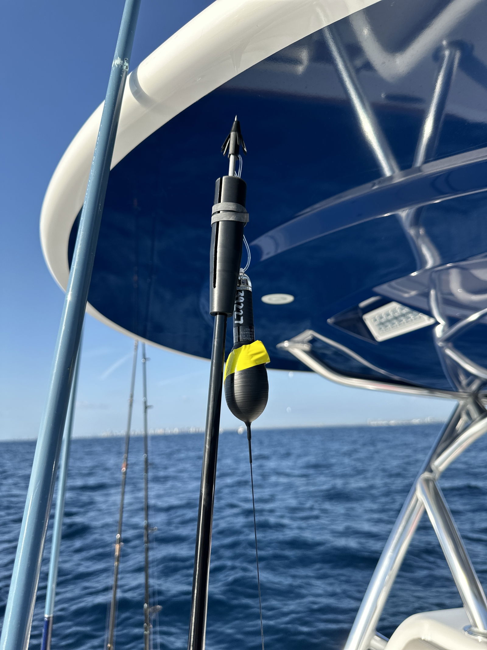Sailfish Satellite Tagging in Palm Beach | Research Expedition Recap