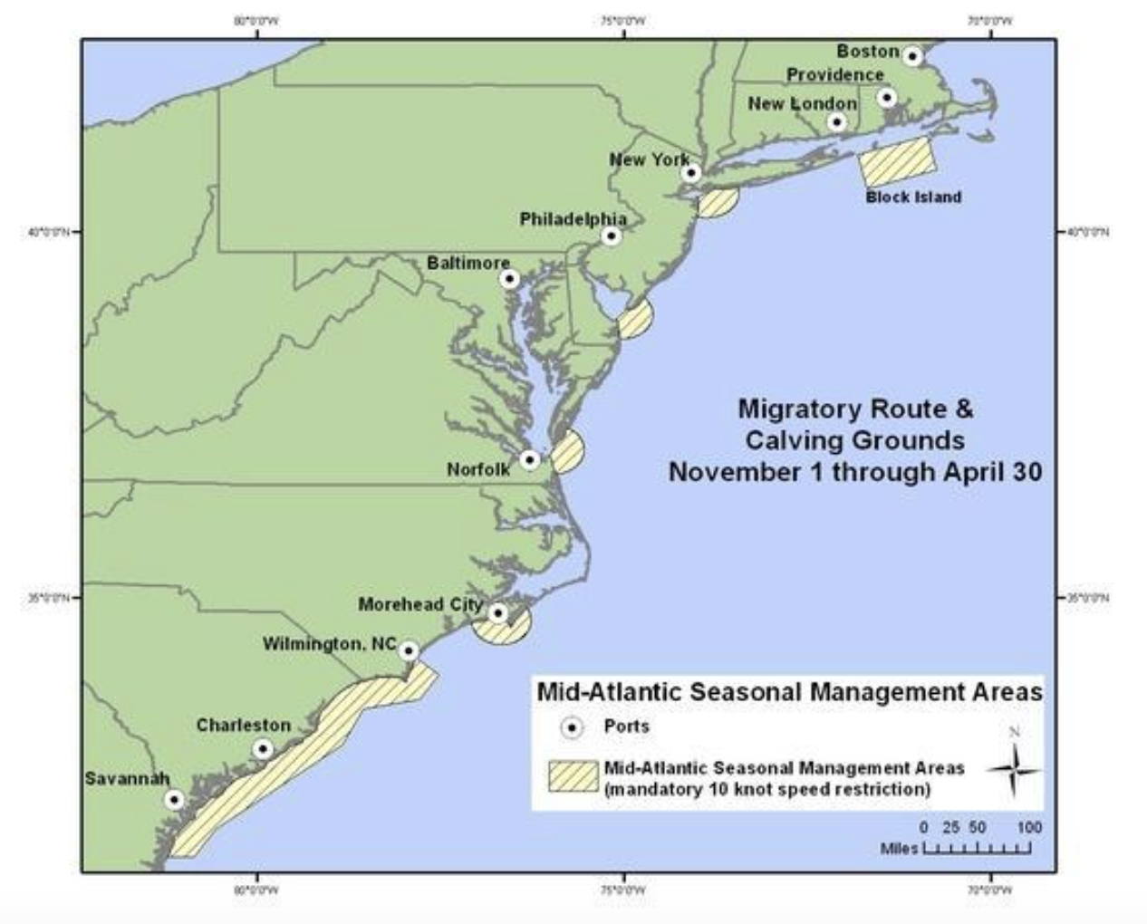 NOAA Vessel Speed Reduction Proposal Withdrawn: Impact on Marine ...