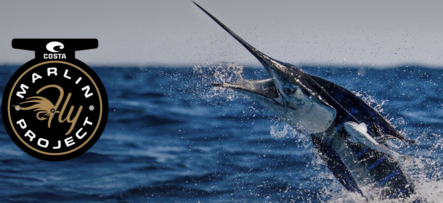 Marlin Fly Project - The Billfish Foundation